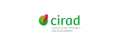 About - afrifoodlinks