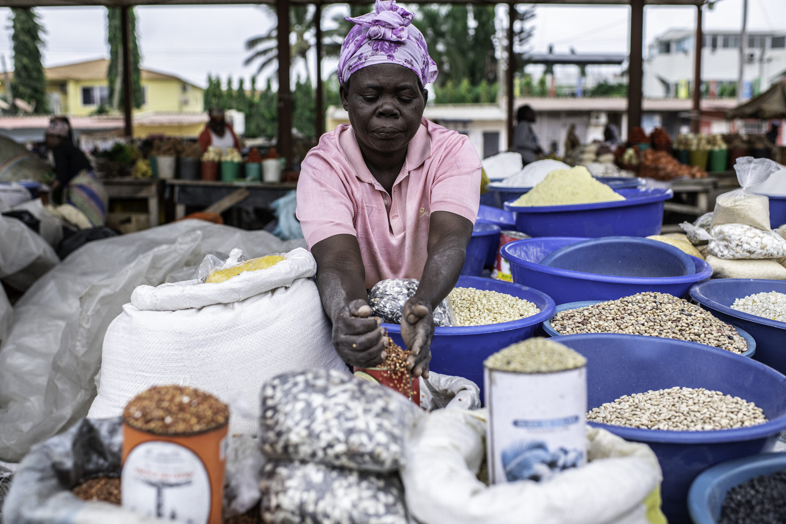 Women for Africa’s sustainable food future - afrifoodlinks
