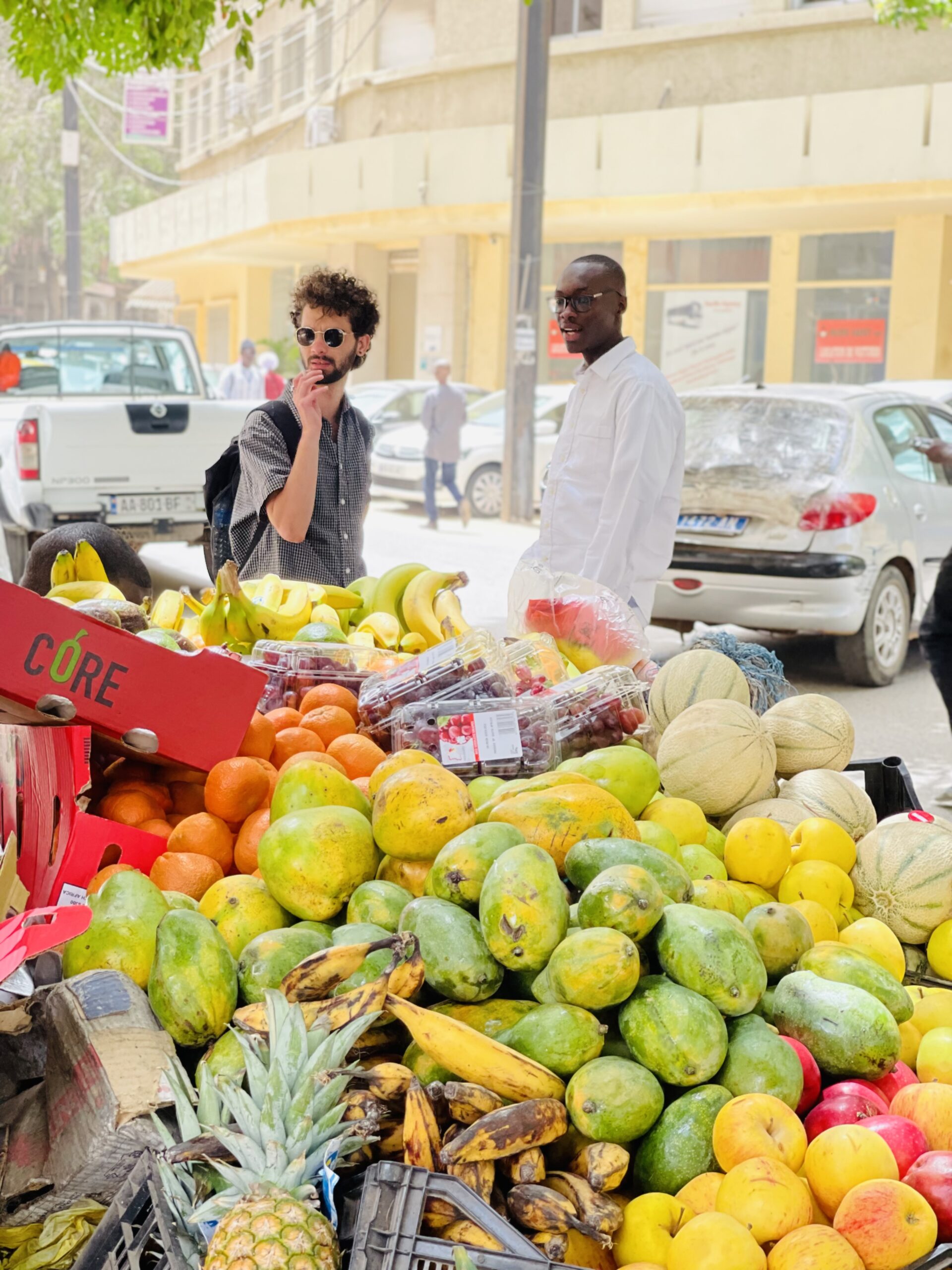 Dakar: Jewels of the Food System - Welcoming Diversity and Potential ...