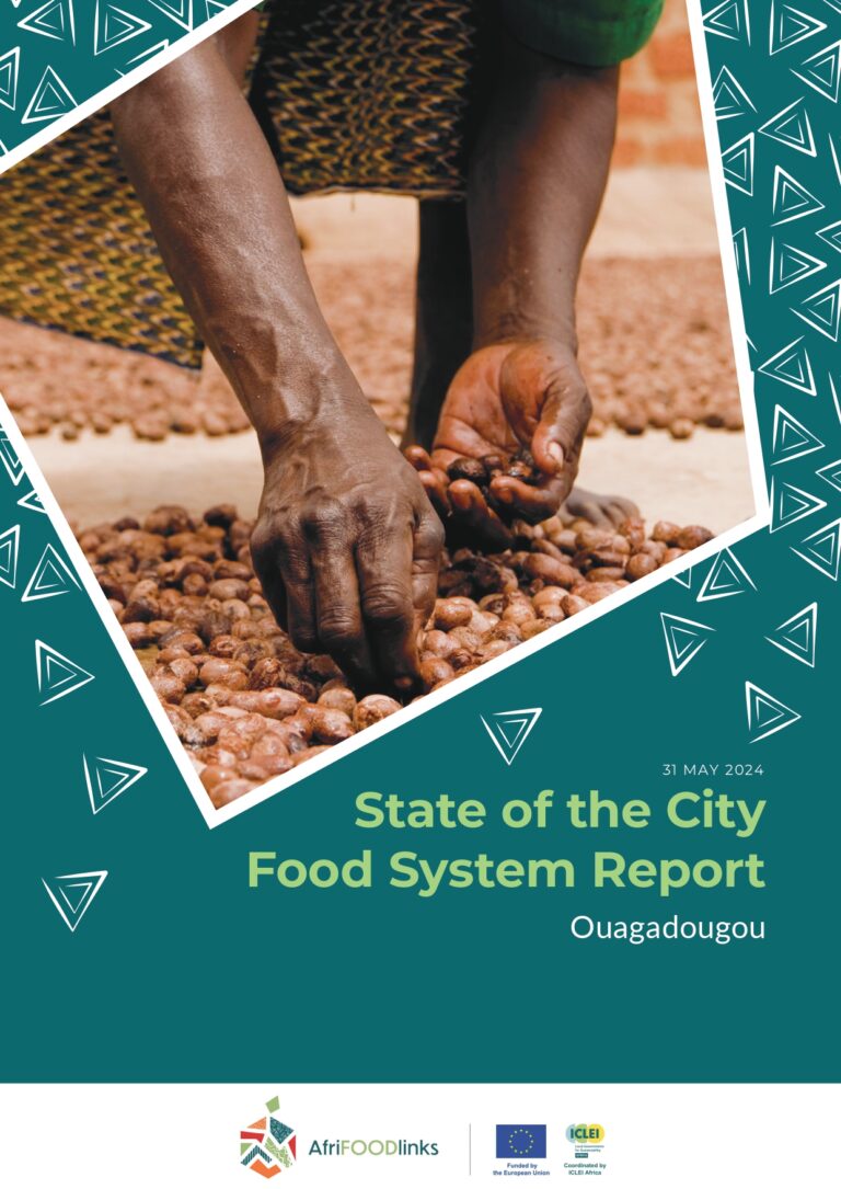 State of the City Food System Report - Ouagadougou - afrifoodlinks