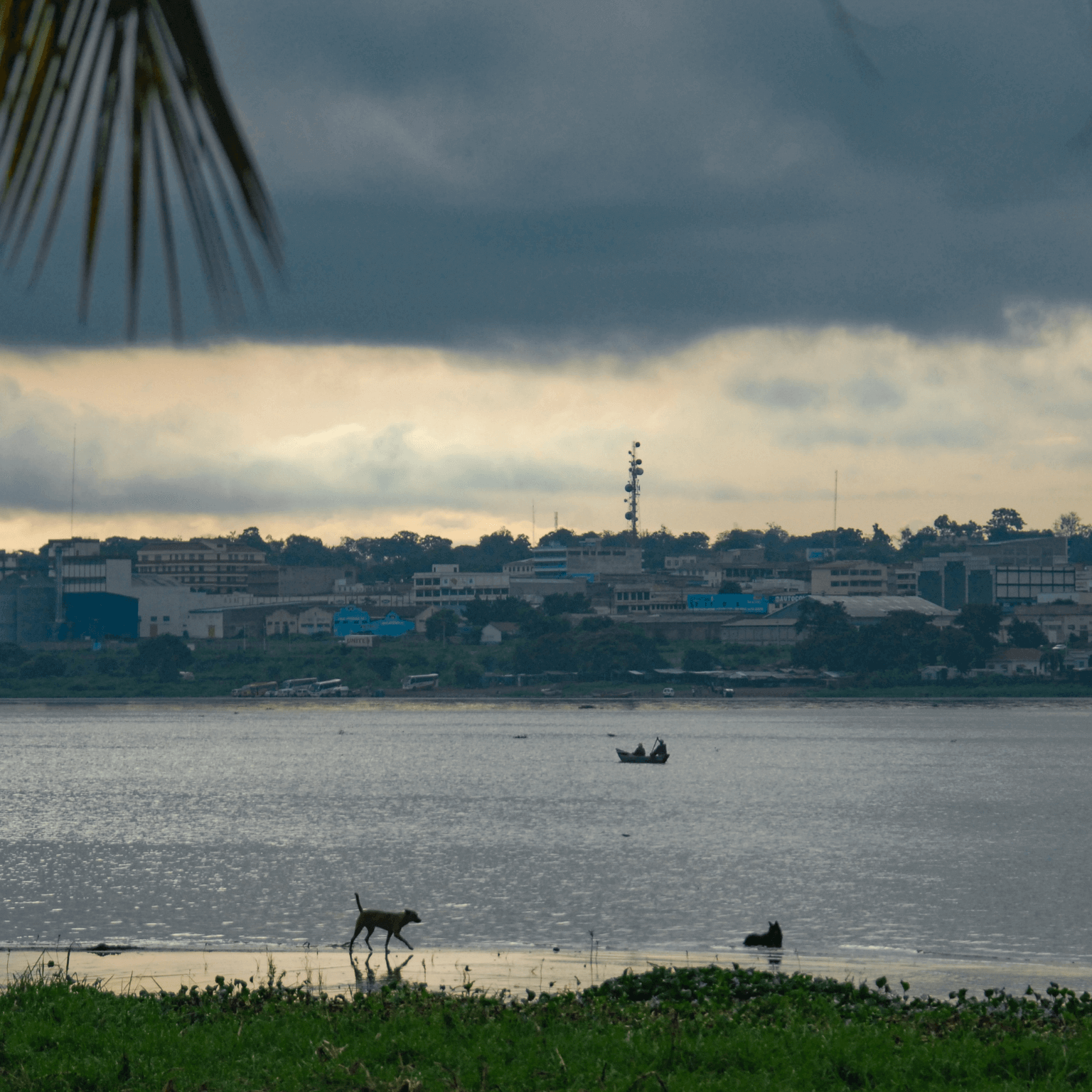 Call for grants for Circular Food MSMEs - afrifoodlinks